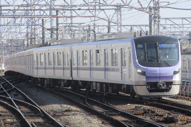 鷺沼検車区 18000系 18105F の写真 |鉄道写真投稿サイトTrain-Directory
