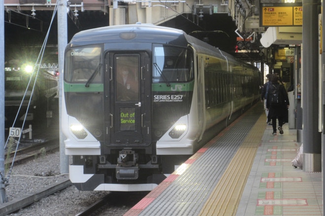 E257系 オオOM-54編成 の写真 |鉄道写真投稿サイトTrain-Directory