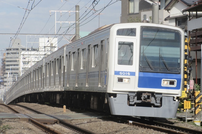 小手指車両管理所 6000系 6116F の写真 |鉄道写真投稿サイトTrain-Directory