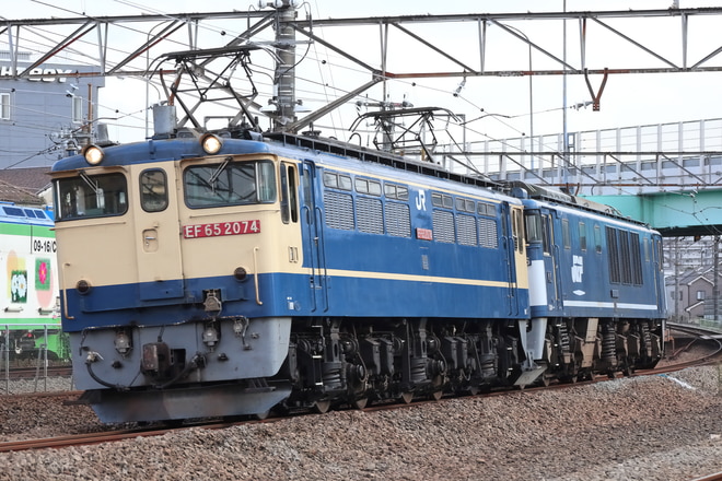 新鶴見機関区 EF65 2074 の写真 |鉄道写真投稿サイトTrain-Directory