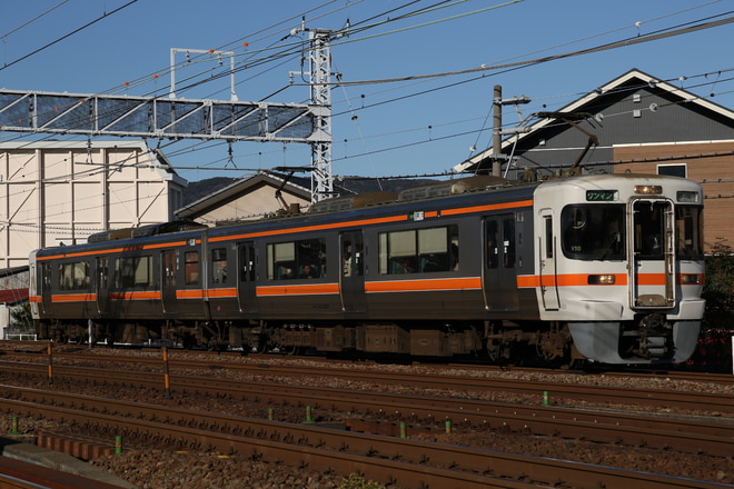 静岡車両区 313系 シスV10編成 の写真 |鉄道写真投稿サイトTrain-Directory