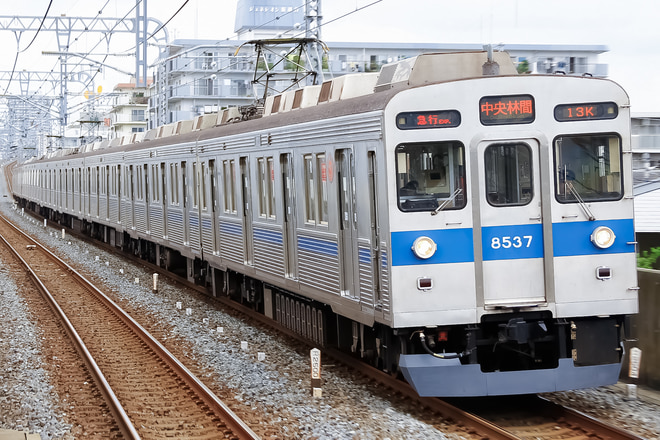 8500系 8637F の写真 |鉄道写真投稿サイトTrain-Directory