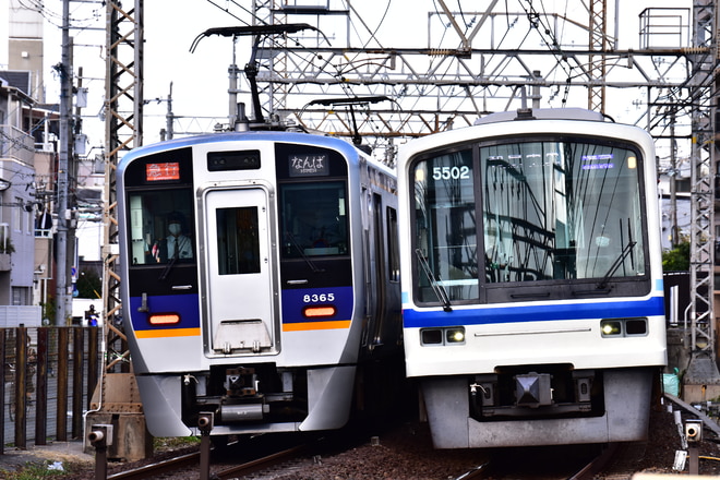 光明池車庫 5000系 5501F の写真 |鉄道写真投稿サイトTrain-Directory