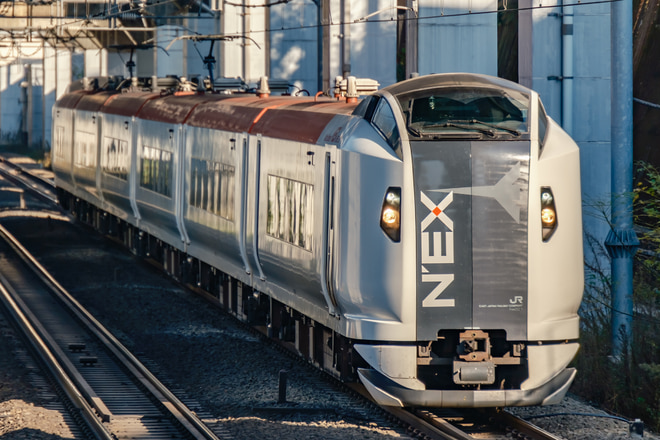 鎌倉車両センター本所 E259系 Ne001編成 の写真 |鉄道写真投稿サイトTrain-Directory