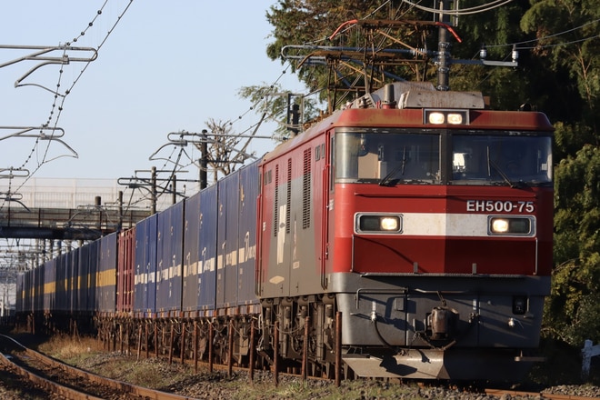 eh500 の写真 |鉄道写真投稿サイトTrain-Directory