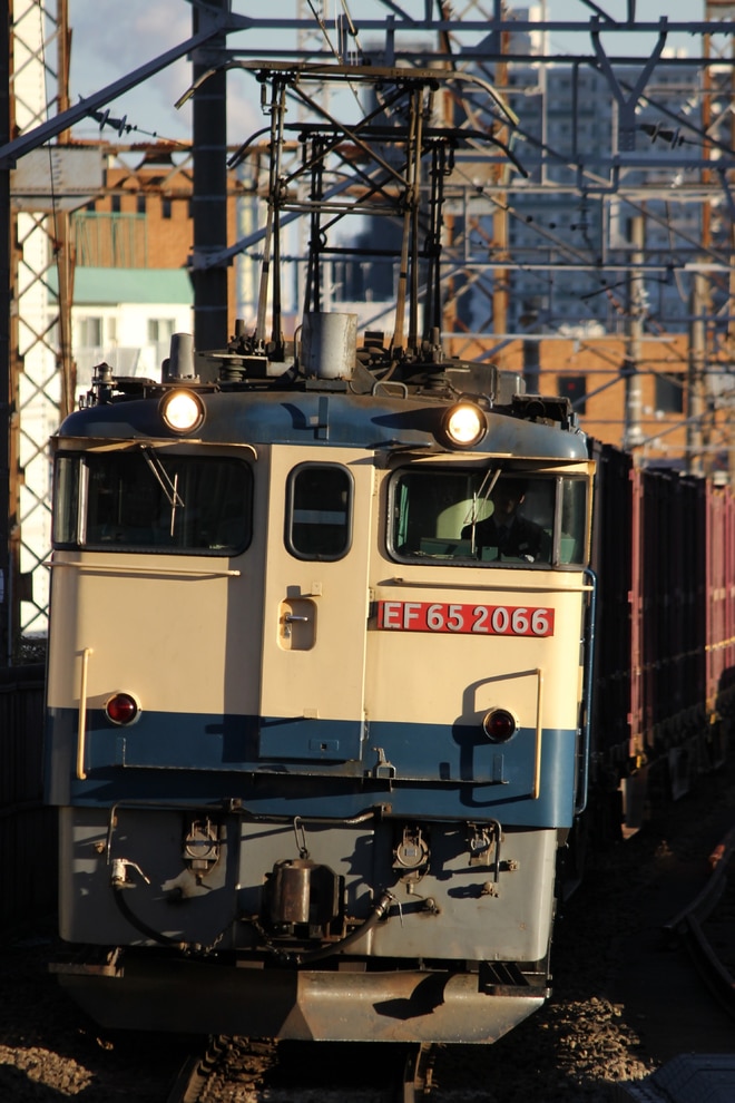 新鶴見機関区 EF65 2066 の写真 |鉄道写真投稿サイトTrain-Directory