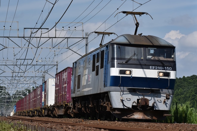 新鶴見機関区 EF210 150 の写真 |鉄道写真投稿サイトTrain-Directory