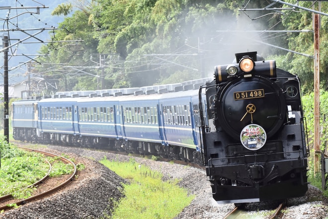 ぐんま車両センター D51 D51-498 の写真 |鉄道写真投稿サイトTrain-Directory