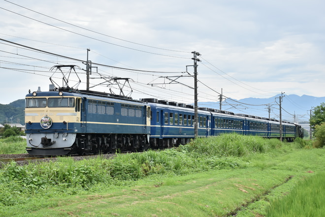 ぐんま車両センター EF65 EF65-501 の写真 |鉄道写真投稿サイトTrain-Directory
