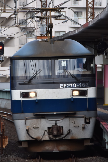 新鶴見機関区 EF210 162 の写真 |鉄道写真投稿サイトTrain-Directory