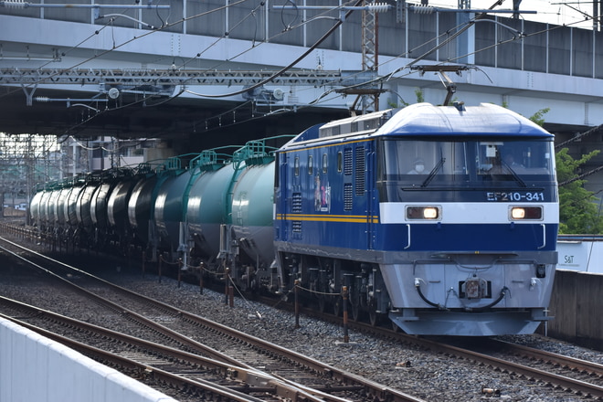 新鶴見機関区 EF210 341 の写真 |鉄道写真投稿サイトTrain-Directory