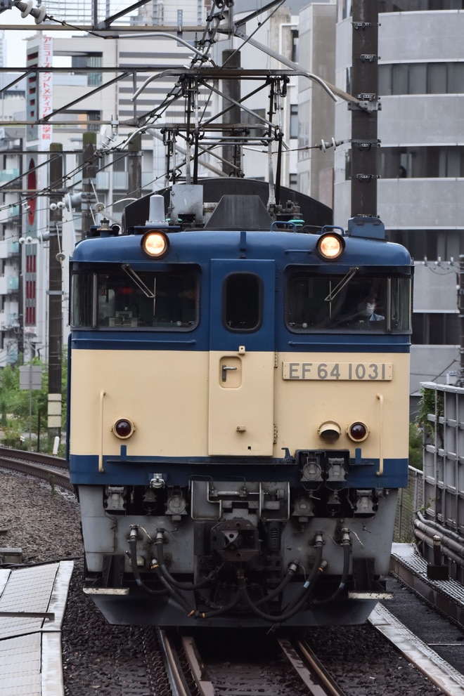 新潟車両センター EF64 1031 の写真 |鉄道写真投稿サイトTrain-Directory