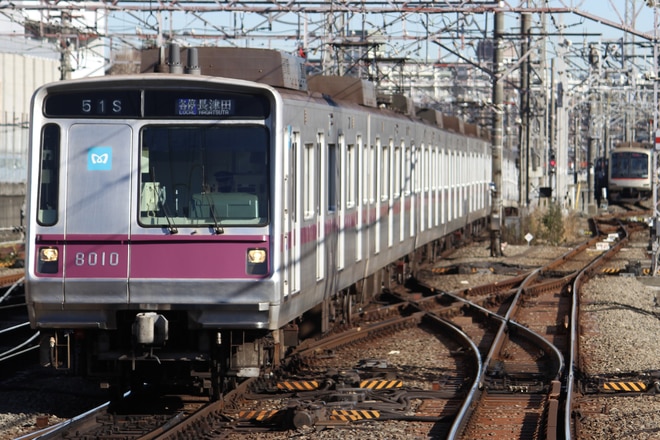 鷺沼検車区 8000系 10F の写真 |鉄道写真投稿サイトTrain-Directory