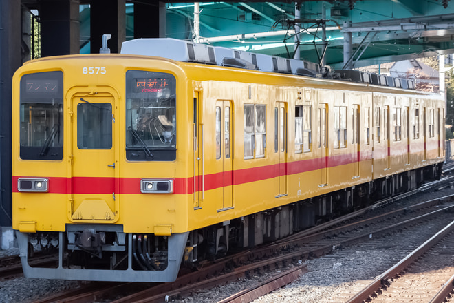 8000系 8575F の写真 |鉄道写真投稿サイトTrain-Directory