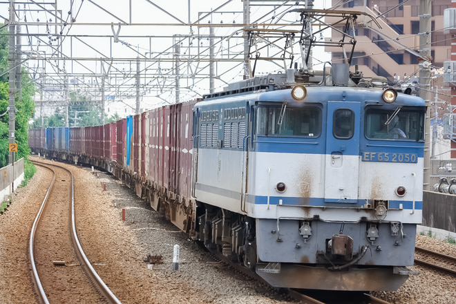 EF65 2050 の写真 |鉄道写真投稿サイトTrain-Directory