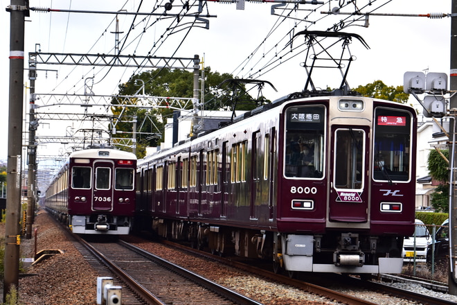 西宮車庫 8000系 8000F の写真 |鉄道写真投稿サイトTrain-Directory