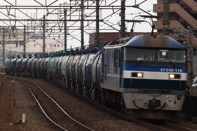 EF210 116 の写真 |鉄道写真投稿サイトTrain-Directory