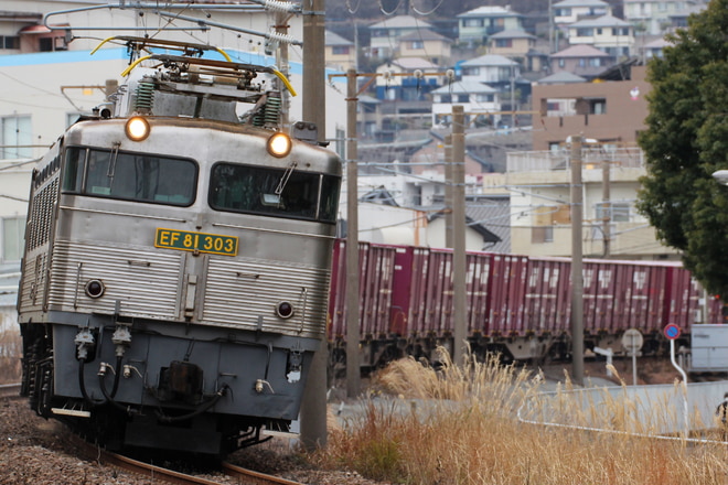 門司機関区 EF81 303 の写真 |鉄道写真投稿サイトTrain-Directory
