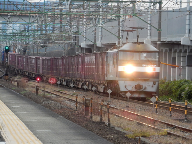 新鶴見機関区 EF210形 EF210-134 の写真 |鉄道写真投稿サイトTrain-Directory
