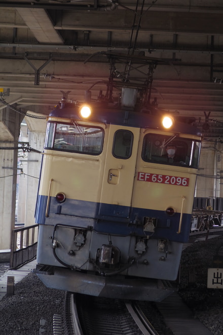 ef65 2096 の写真 |鉄道写真投稿サイトTrain-Directory
