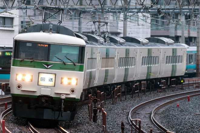 185系 OM08編成 の写真 |鉄道写真投稿サイトTrain-Directory