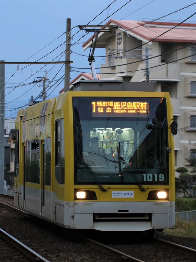 鹿児島市交通局 1000形 1019号 の写真 |鉄道写真投稿サイトTrain-Directory