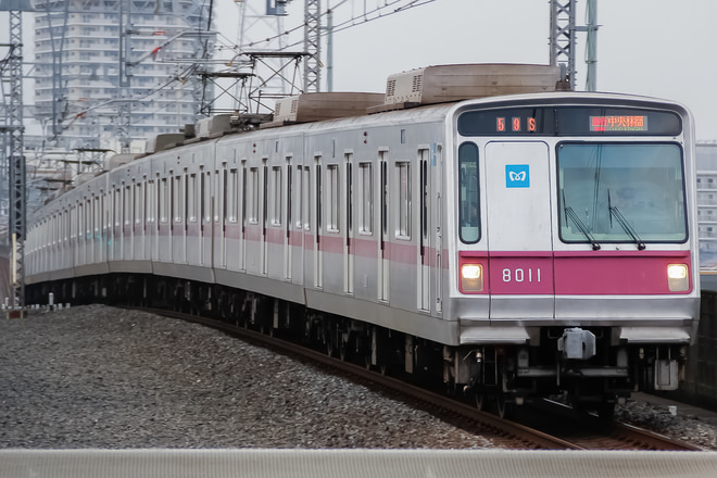 8000系 8111F の写真 |鉄道写真投稿サイトTrain-Directory