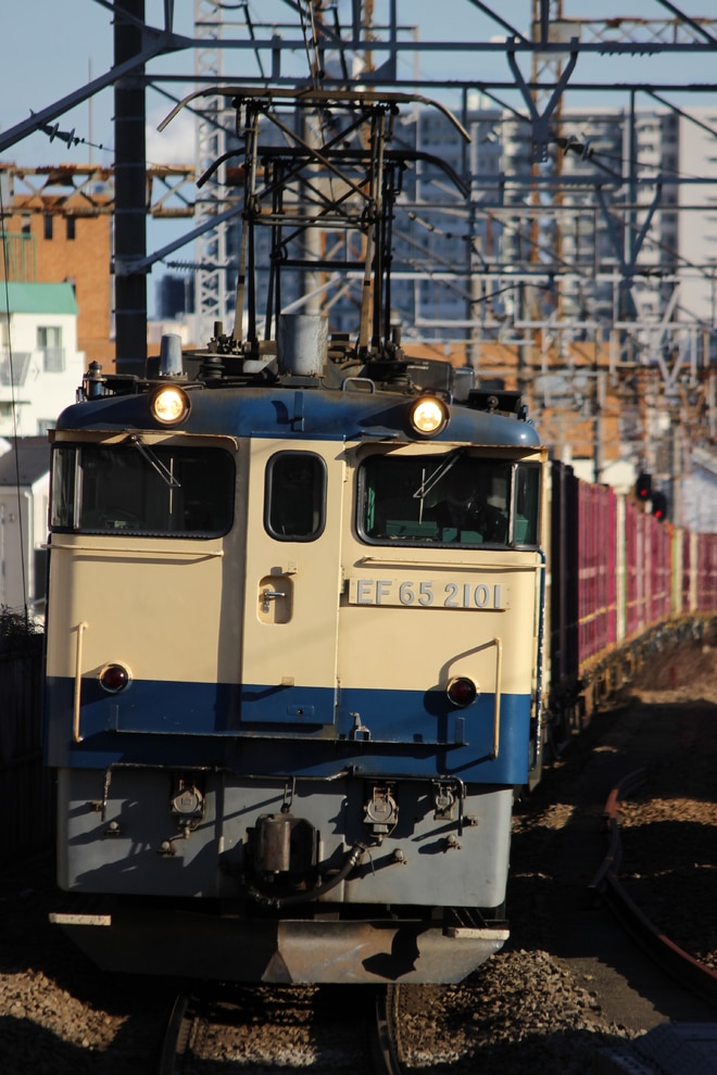 新鶴見機関区 EF65 2101 の写真 |鉄道写真投稿サイトTrain-Directory