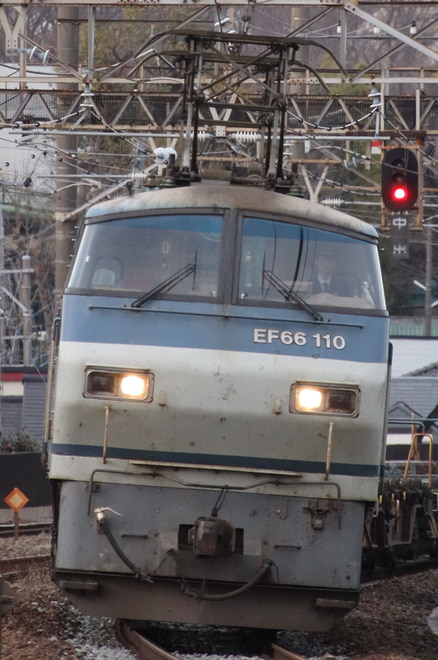 吹田機関区 EF66 110 の写真 |鉄道写真投稿サイトTrain-Directory
