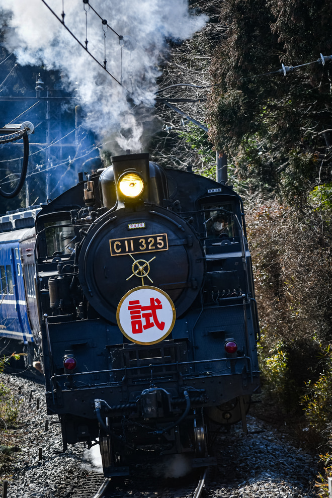 下今市機関区 C11 325 の写真 |鉄道写真投稿サイトTrain-Directory