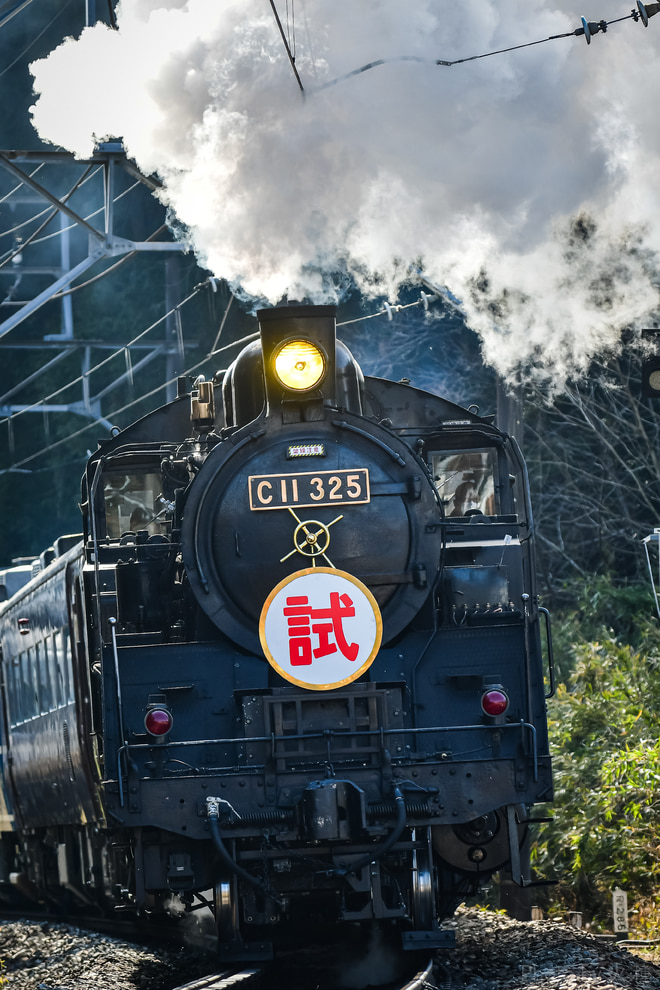 下今市機関区 C11 325 の写真 |鉄道写真投稿サイトTrain-Directory