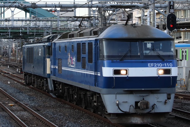 新鶴見機関区 EF210 110 の写真 |鉄道写真投稿サイトTrain-Directory
