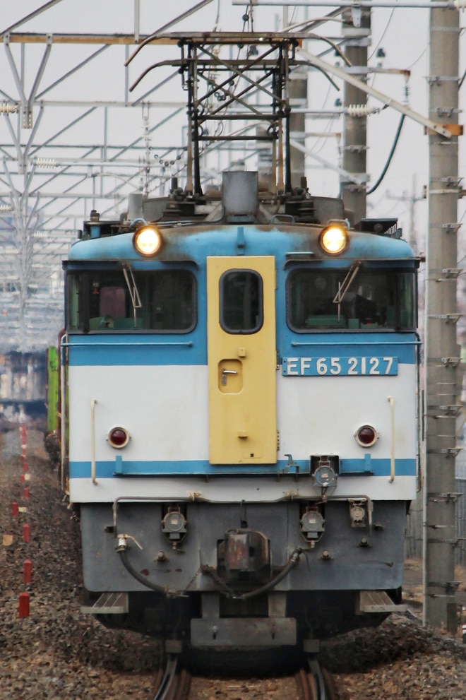 新鶴見機関区 EF65 2127 の写真 |鉄道写真投稿サイトTrain-Directory