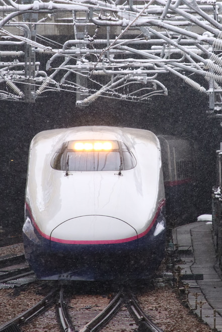 新潟新幹線車両センター E2系 J71編成 の写真 |鉄道写真投稿サイトTrain-Directory