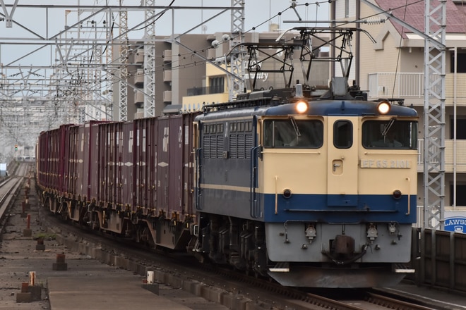新鶴見機関区 EF65 2101 の写真 |鉄道写真投稿サイトTrain-Directory