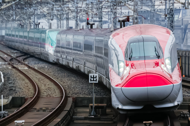 E6系 Z4編成 の写真 |鉄道写真投稿サイトTrain-Directory