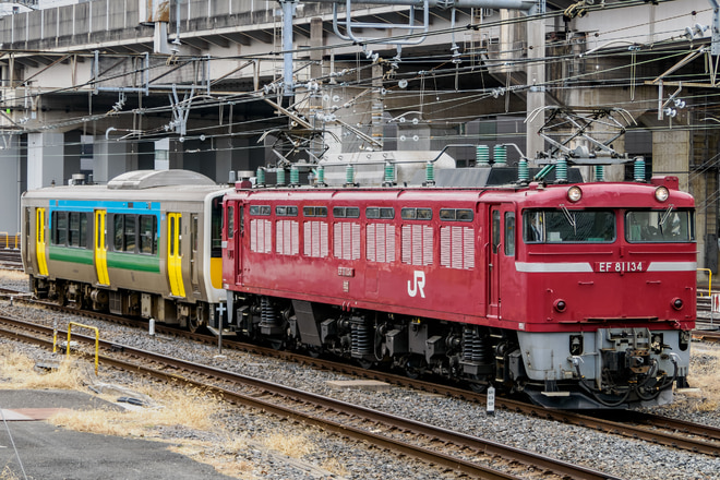 長岡車両センター EF81 134 の写真 |鉄道写真投稿サイトTrain-Directory