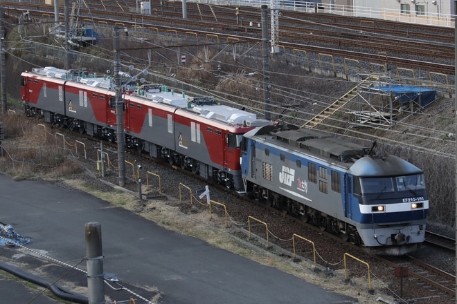 新鶴見機関区 EF210 161 の写真 |鉄道写真投稿サイトTrain-Directory