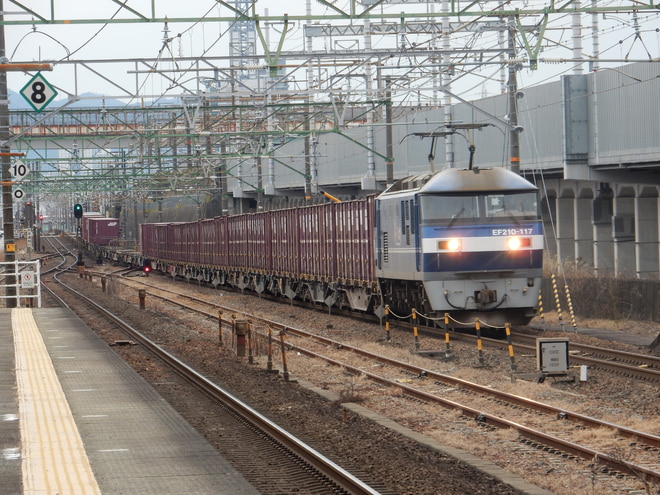 新鶴見機関区 EF210形 117 の写真 |鉄道写真投稿サイトTrain-Directory