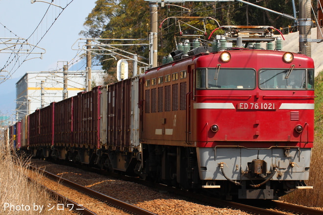 門司機関区 ED76 1021 の写真 |鉄道写真投稿サイトTrain-Directory