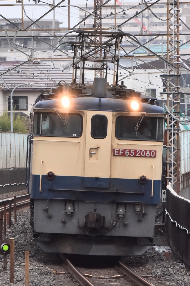 新鶴見機関区 EF65 2080 の写真 |鉄道写真投稿サイトTrain-Directory