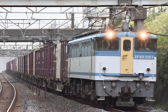 新鶴見機関区 EF65 2127 の写真 |鉄道写真投稿サイトTrain-Directory