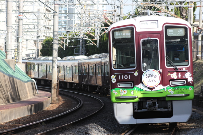 平井車庫 1000系 1001F の写真 |鉄道写真投稿サイトTrain-Directory