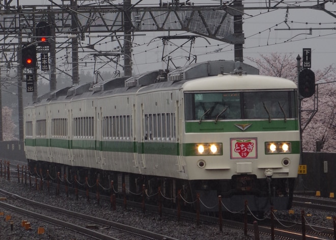 大宮総合車両センター東大宮センター 185系 C1編成 の写真 |鉄道写真投稿サイトTrain-Directory