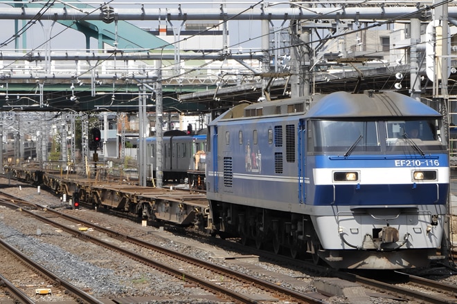 新鶴見機関区 EF210 116 の写真 |鉄道写真投稿サイトTrain-Directory