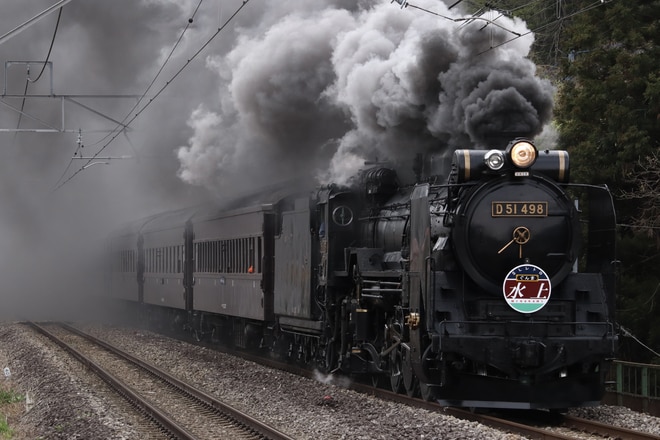 高崎車両センター高崎支所 D51 498 の写真 |鉄道写真投稿サイトTrain-Directory