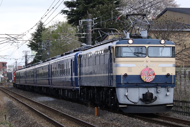 高崎車両センター高崎支所 EF65 501 の写真 |鉄道写真投稿サイトTrain-Directory