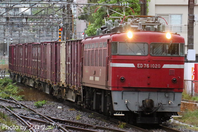 門司機関区 ED76 1020 の写真 |鉄道写真投稿サイトTrain-Directory