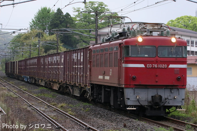 門司機関区 ED76 1020 の写真 |鉄道写真投稿サイトTrain-Directory