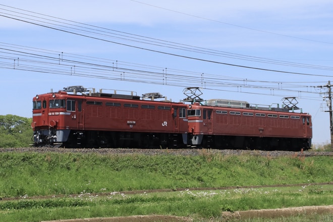 仙台車両センター ED75 759 の写真 |鉄道写真投稿サイトTrain-Directory